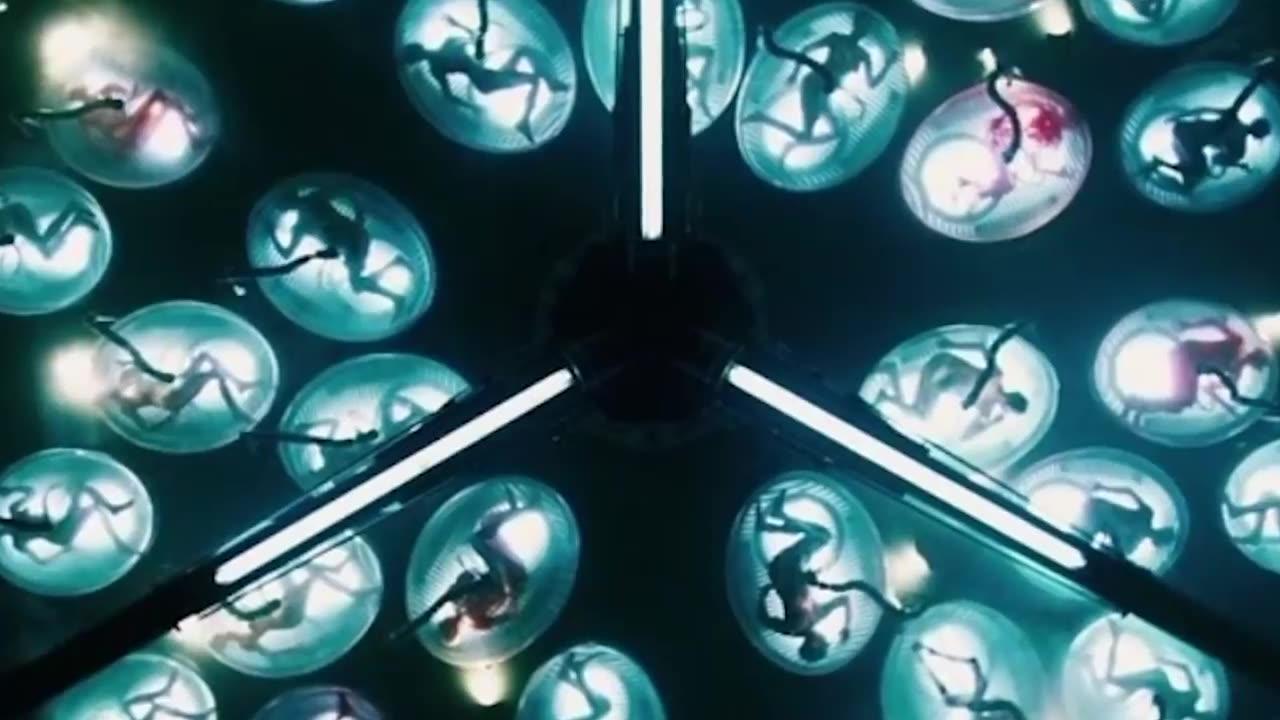 LOOKALIKES 🙈HOLLYWOOD STARS - One News Page VIDEO