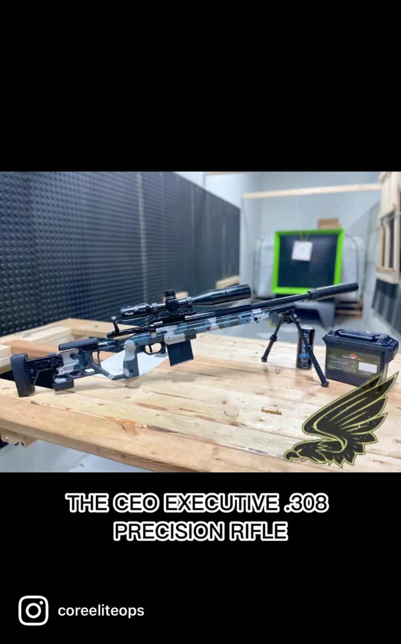 The Executive Precision Rifle - One News Page VIDEO