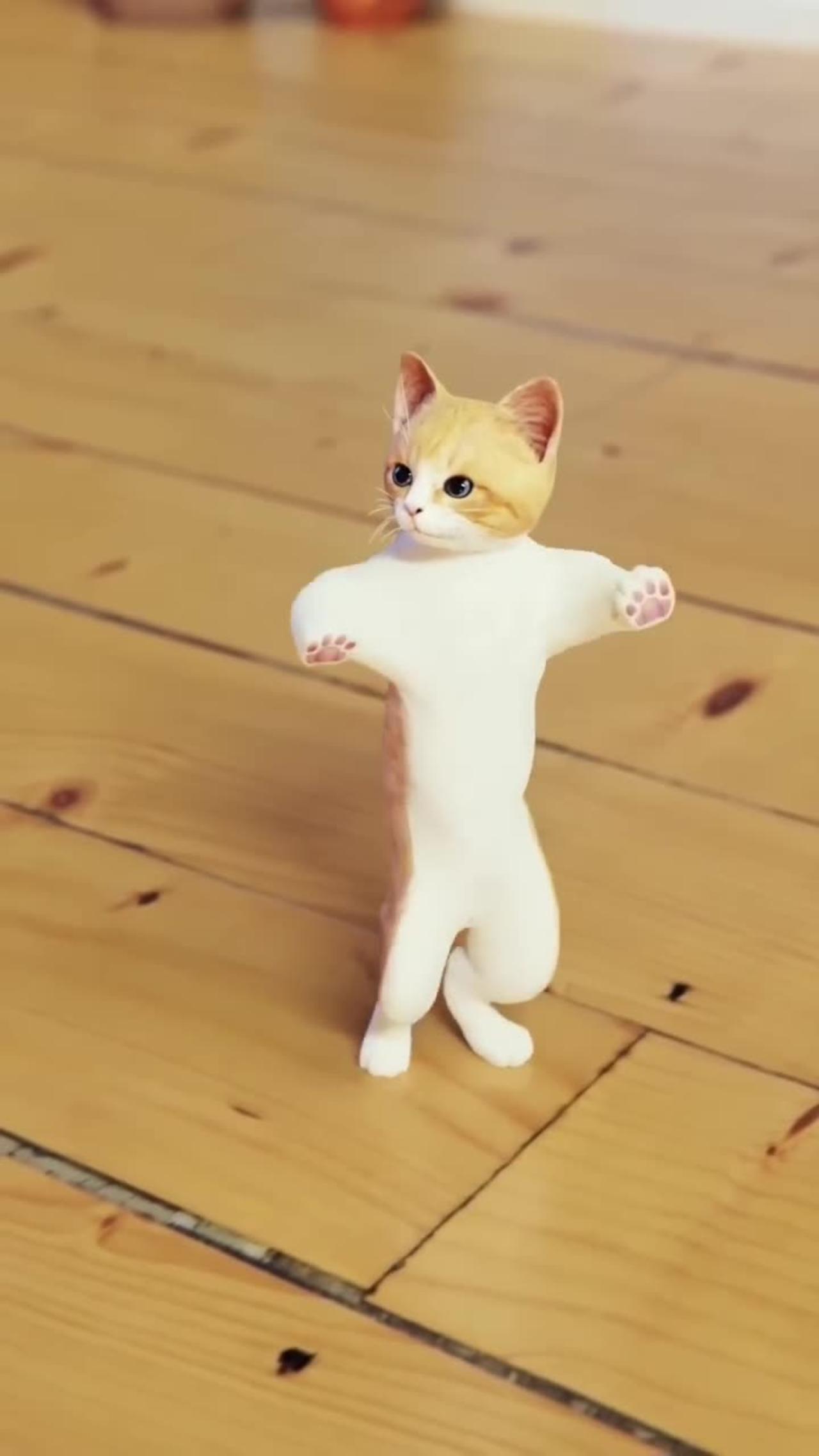 Funny Cat Dance😁🤣 - One News Page VIDEO
