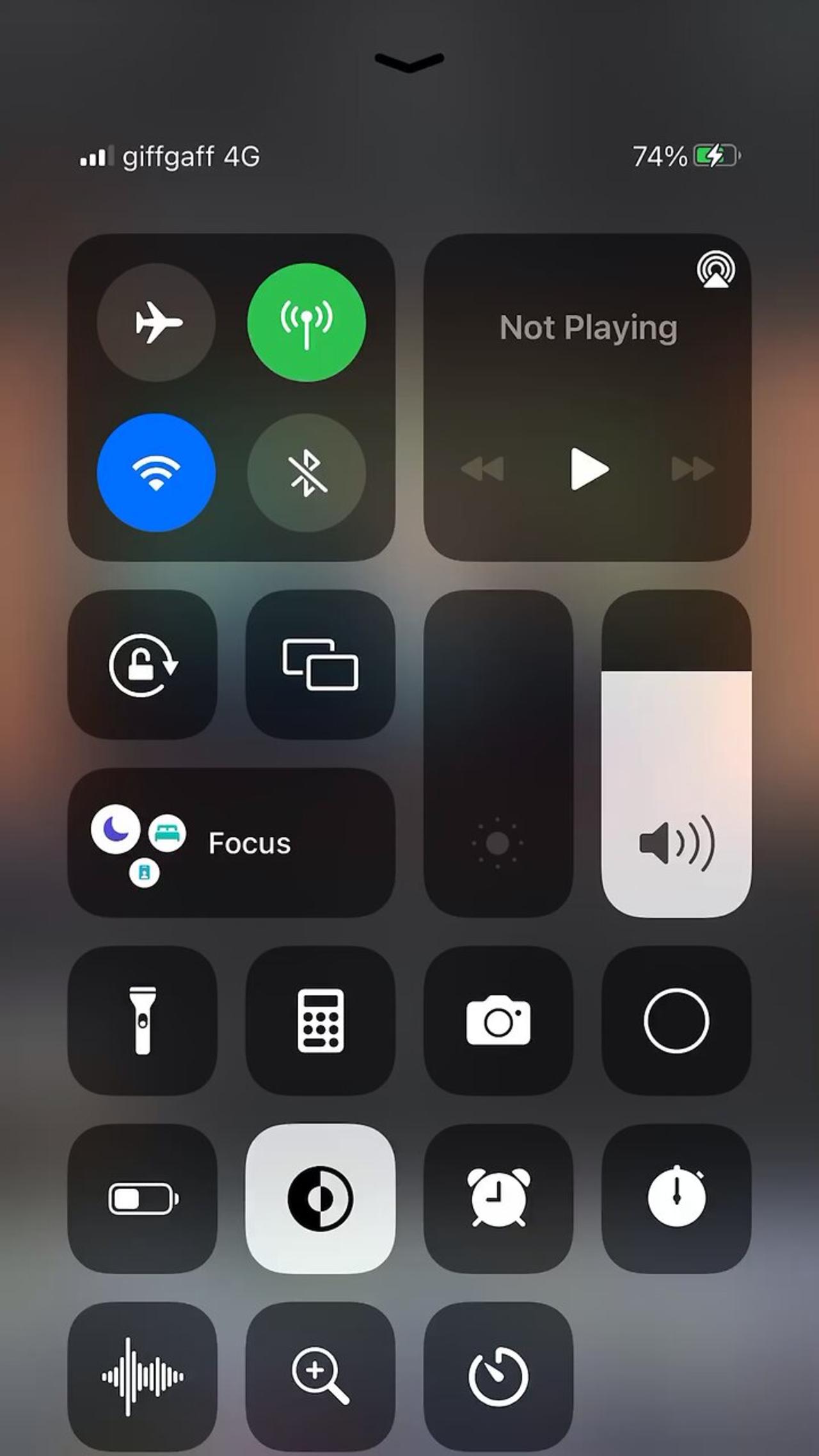 Ricardo Bosi : Australia One Party - One News Page VIDEO