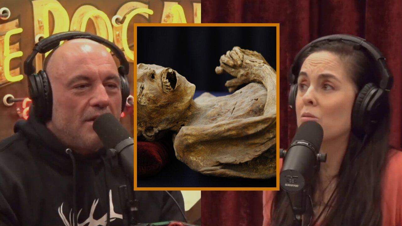 "Royals ate Royals" Mummy Unwrapping - One News Page VIDEO