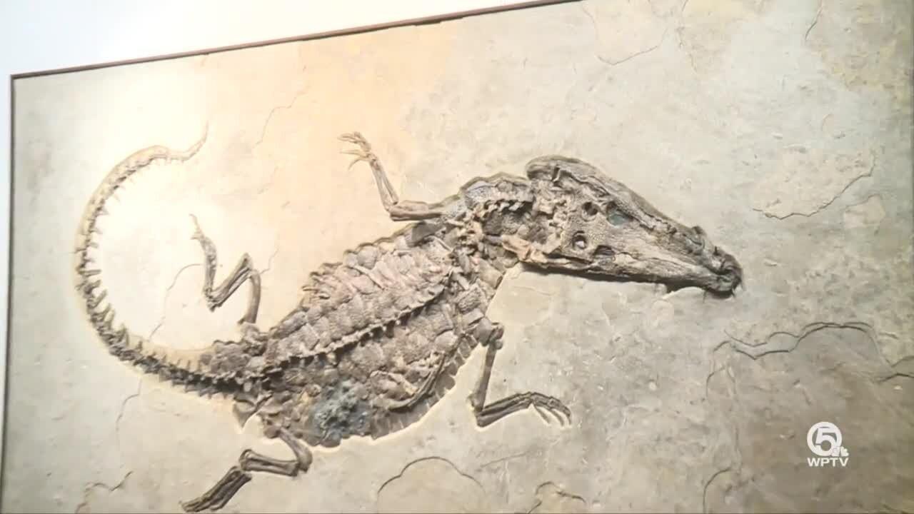 20th Annual Palm Beach Show continues at - One News Page VIDEO