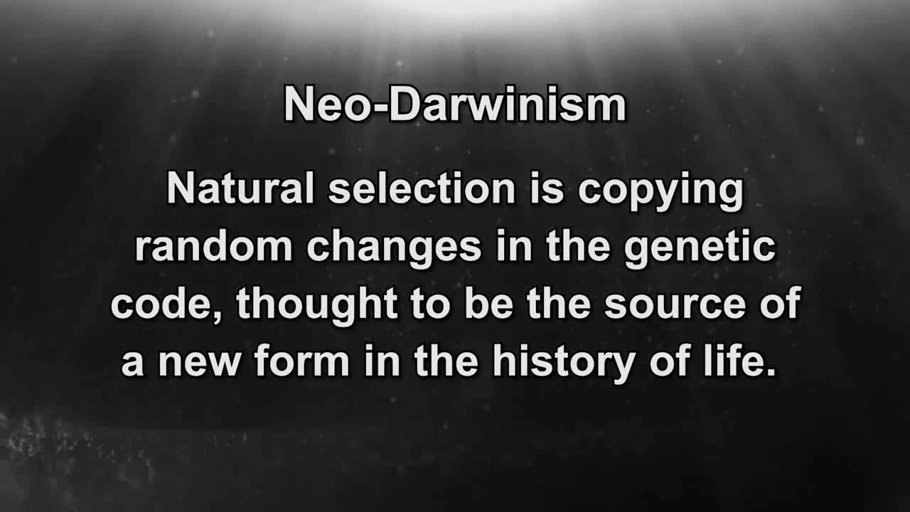 What is the Neo-Darwinian theory - One News Page VIDEO