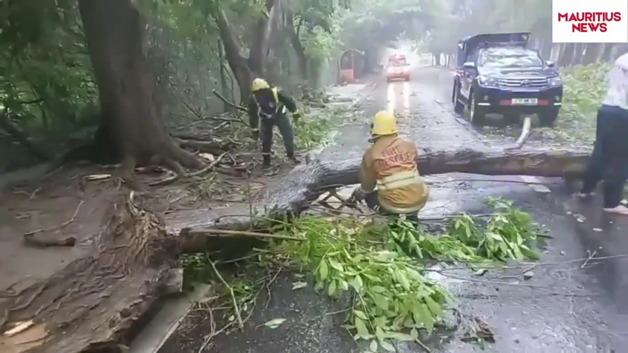Cyclone Freddy 2023 - One News Page VIDEO