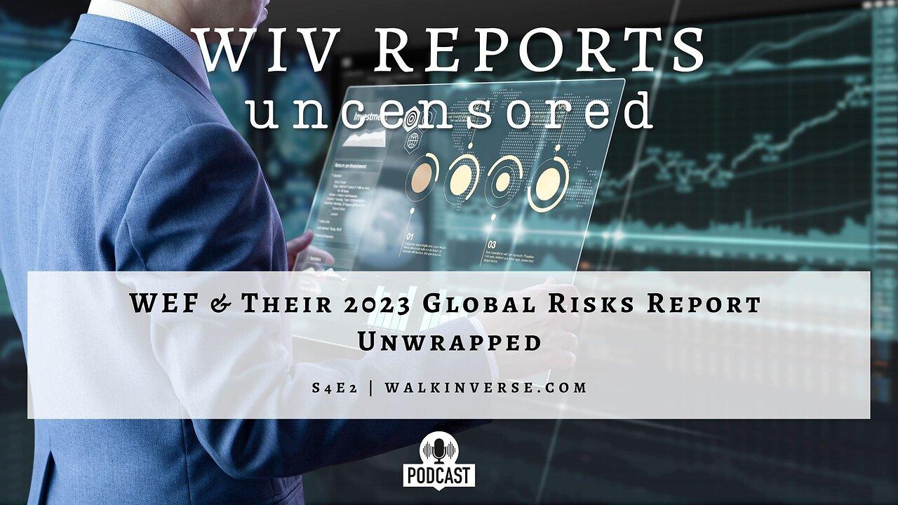 WEF & Their 2023 Global Risks Report - One News Page VIDEO