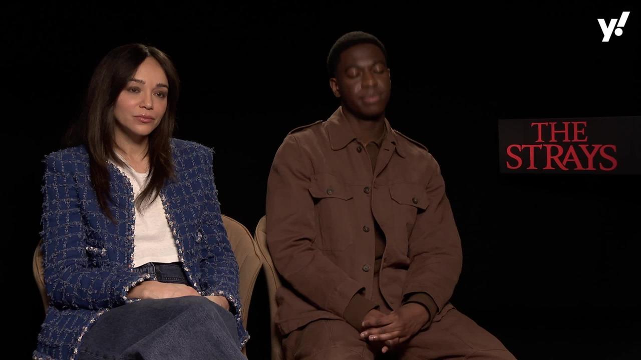 The Strays’ Ashley Madekwe talks lack of - One News Page VIDEO