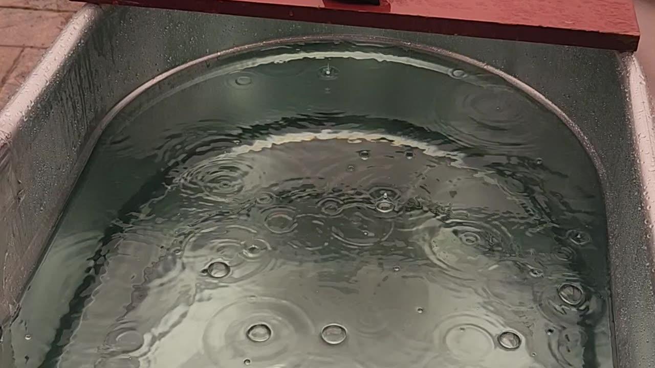 Day 7 of the 64-day cold plunge challenge! - One News Page VIDEO