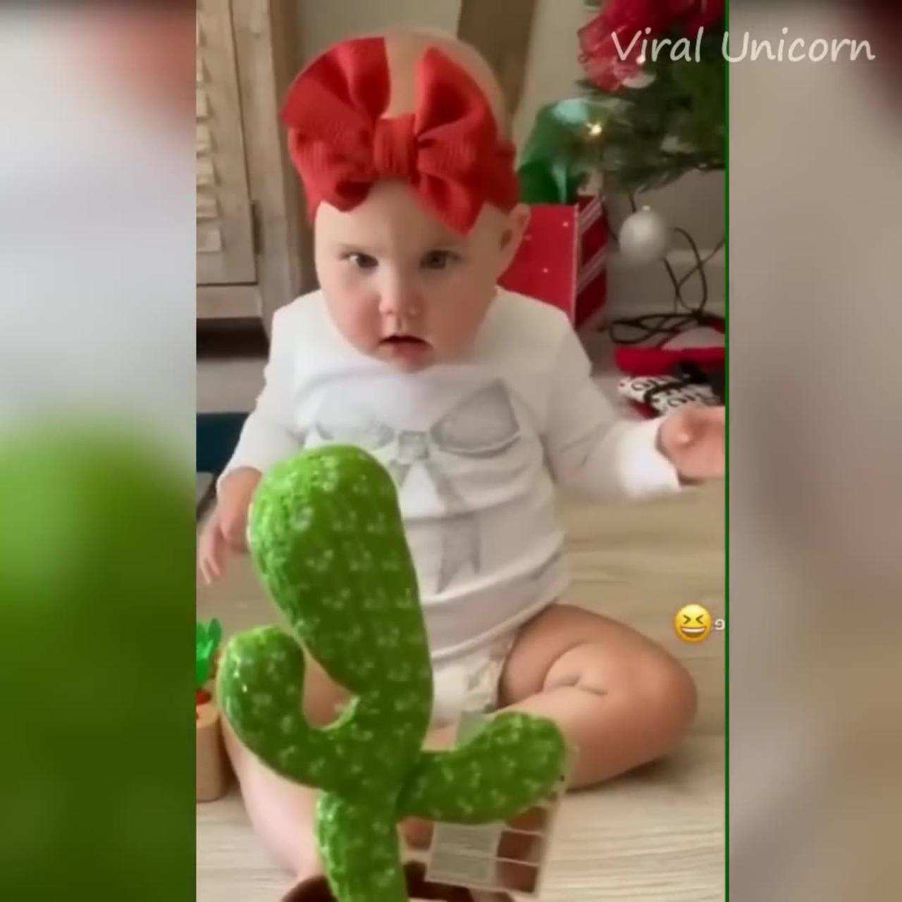 Dancing Cactus Babies Reaction | BABY FAILS! Boy - One News Page VIDEO