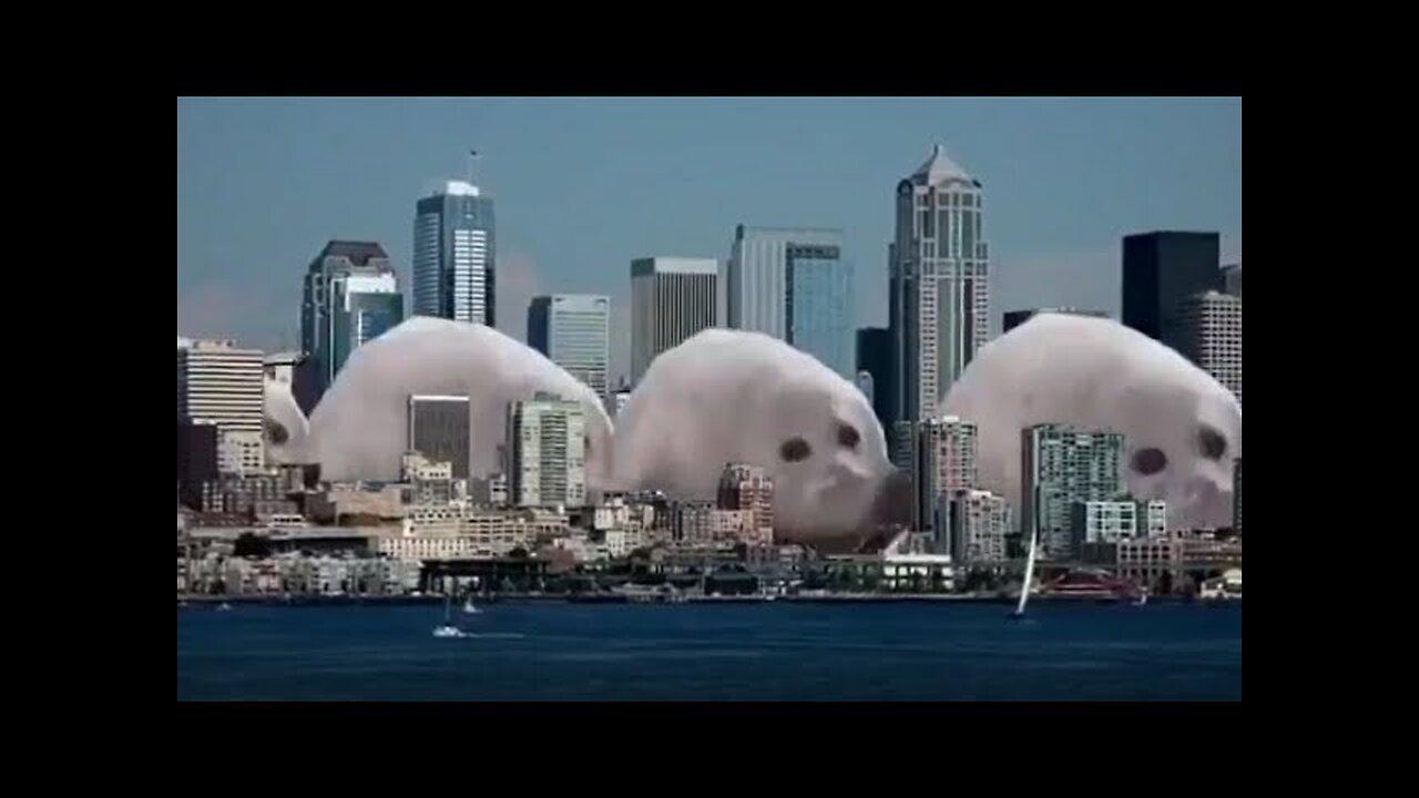 Try Not To Laugh Watching Funny Animal Fails - One News Page VIDEO