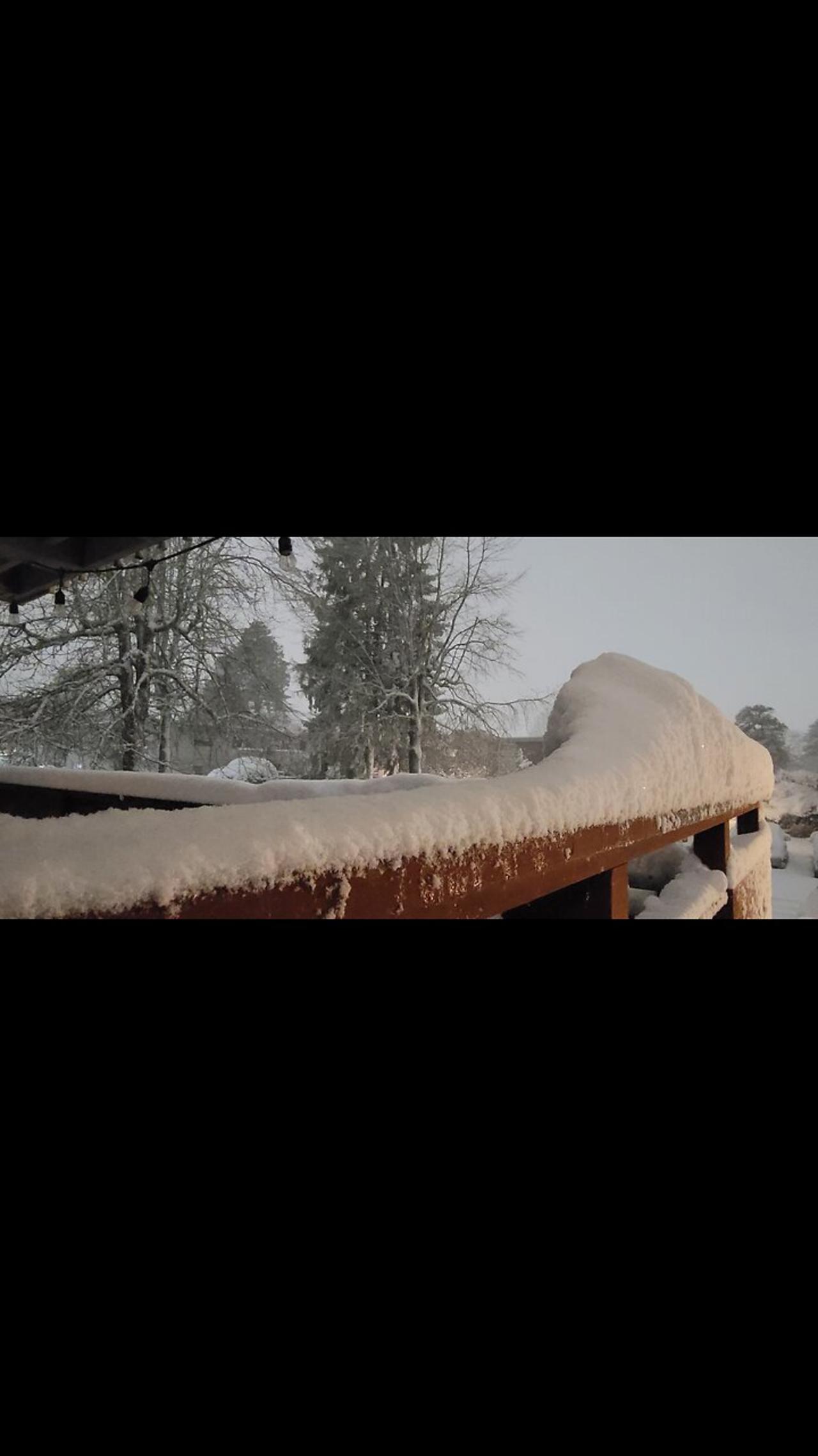 #live Portland, Oregon Snow Storm 2023 #snow - One News Page VIDEO