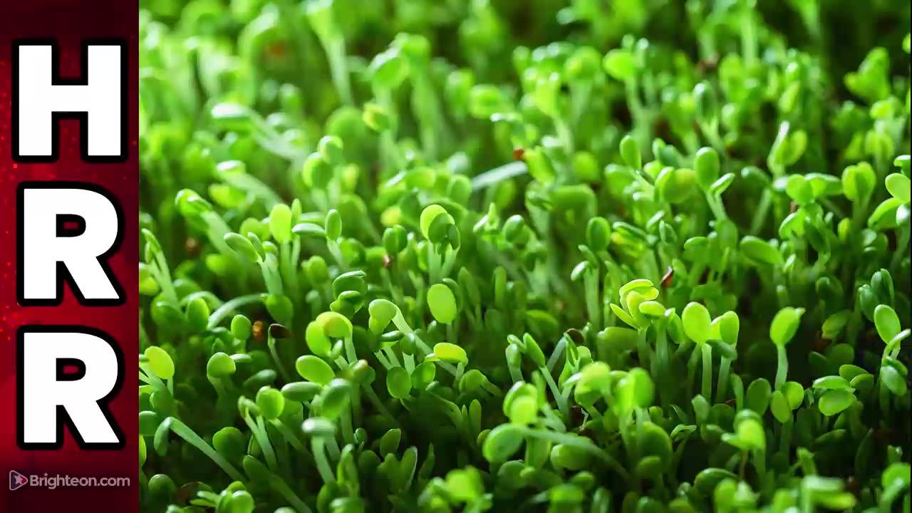 URGENT INFO: How to DETOX from DIOXIN exposure - - One News Page VIDEO