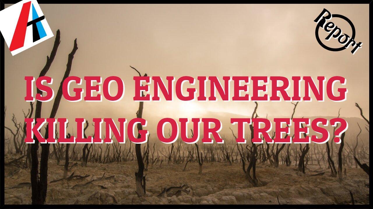 IS GEO ENGINEERING KILLING OUR TREES? - One News Page VIDEO