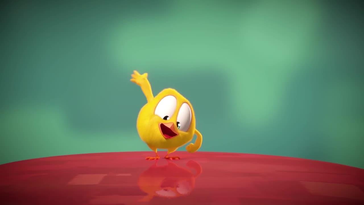 Where's Chicky? Funny Chicky | BASKETBALL - One News Page VIDEO