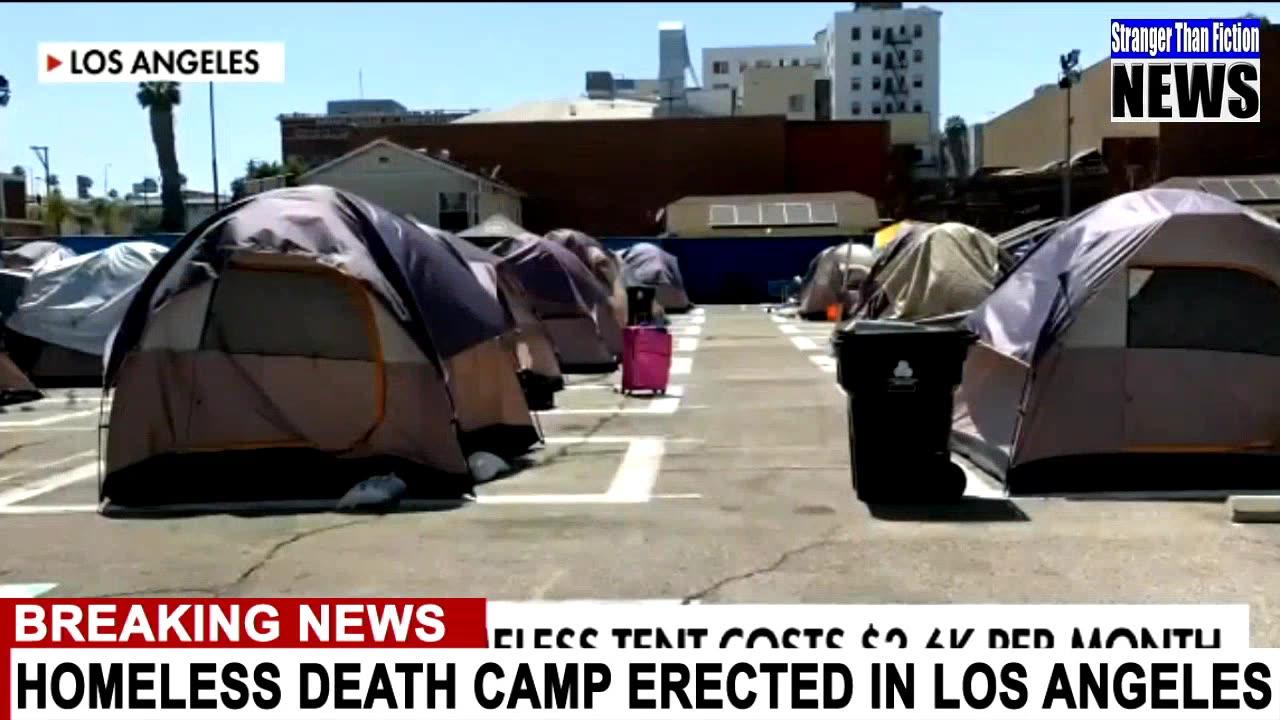 Homeless Death Camp Erected in Los Angeles - One News Page VIDEO
