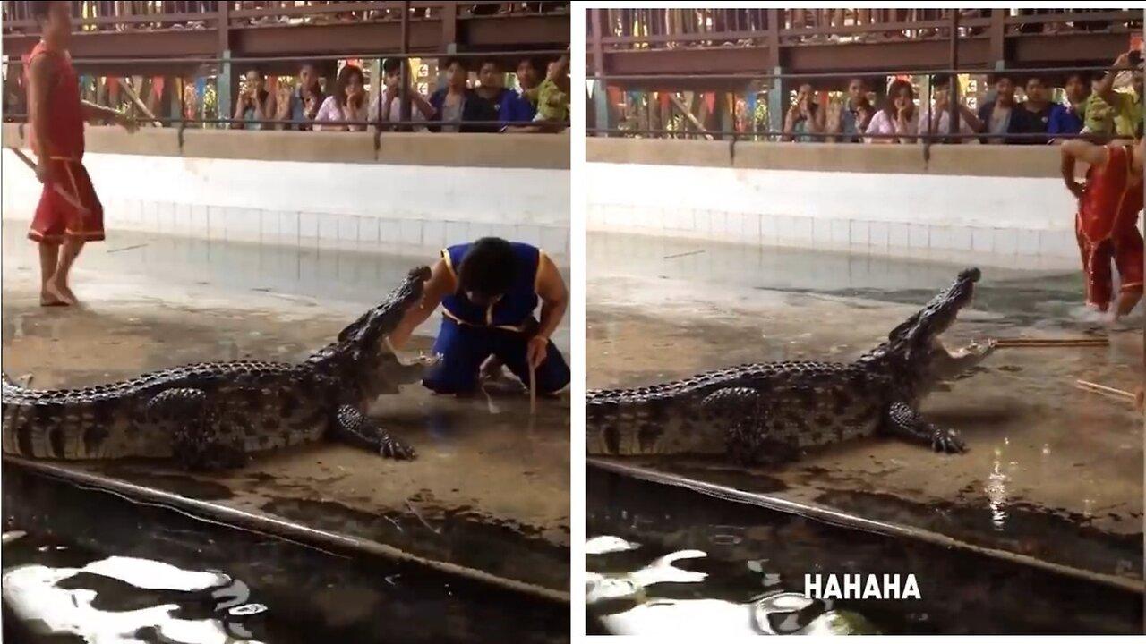 crocodile attack in human | alimiacats - One News Page VIDEO