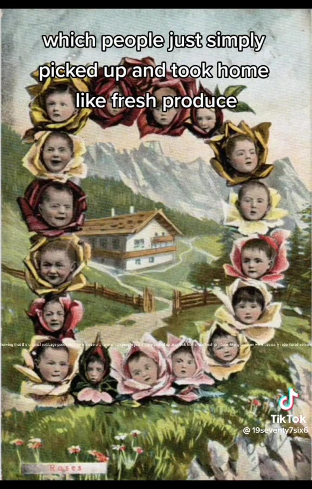 Cabbage patch kids Tartaria mud floods - One News Page VIDEO