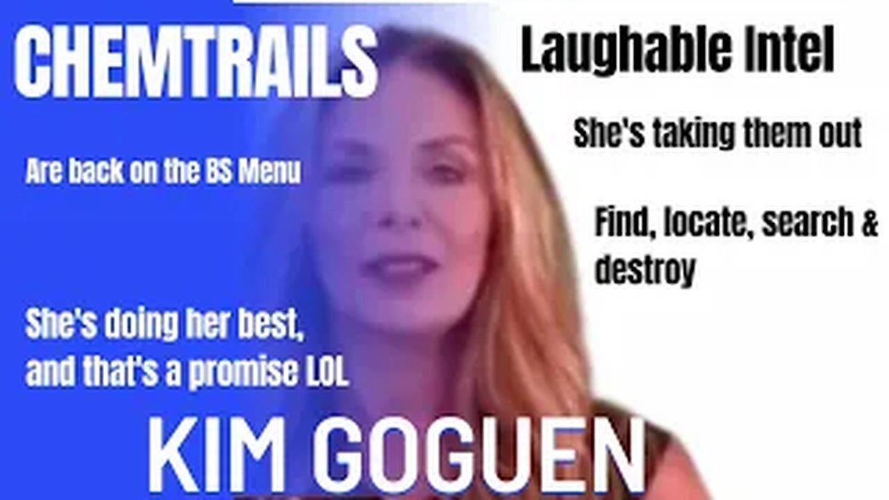 Kim Goguen | INTEL | "CHEMTRAILS" - One News Page VIDEO