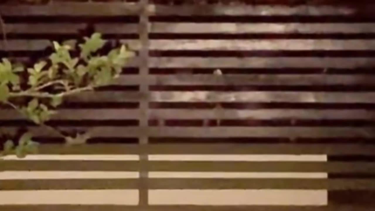 Ghost on camera paranormal activity part 49 - One News Page VIDEO