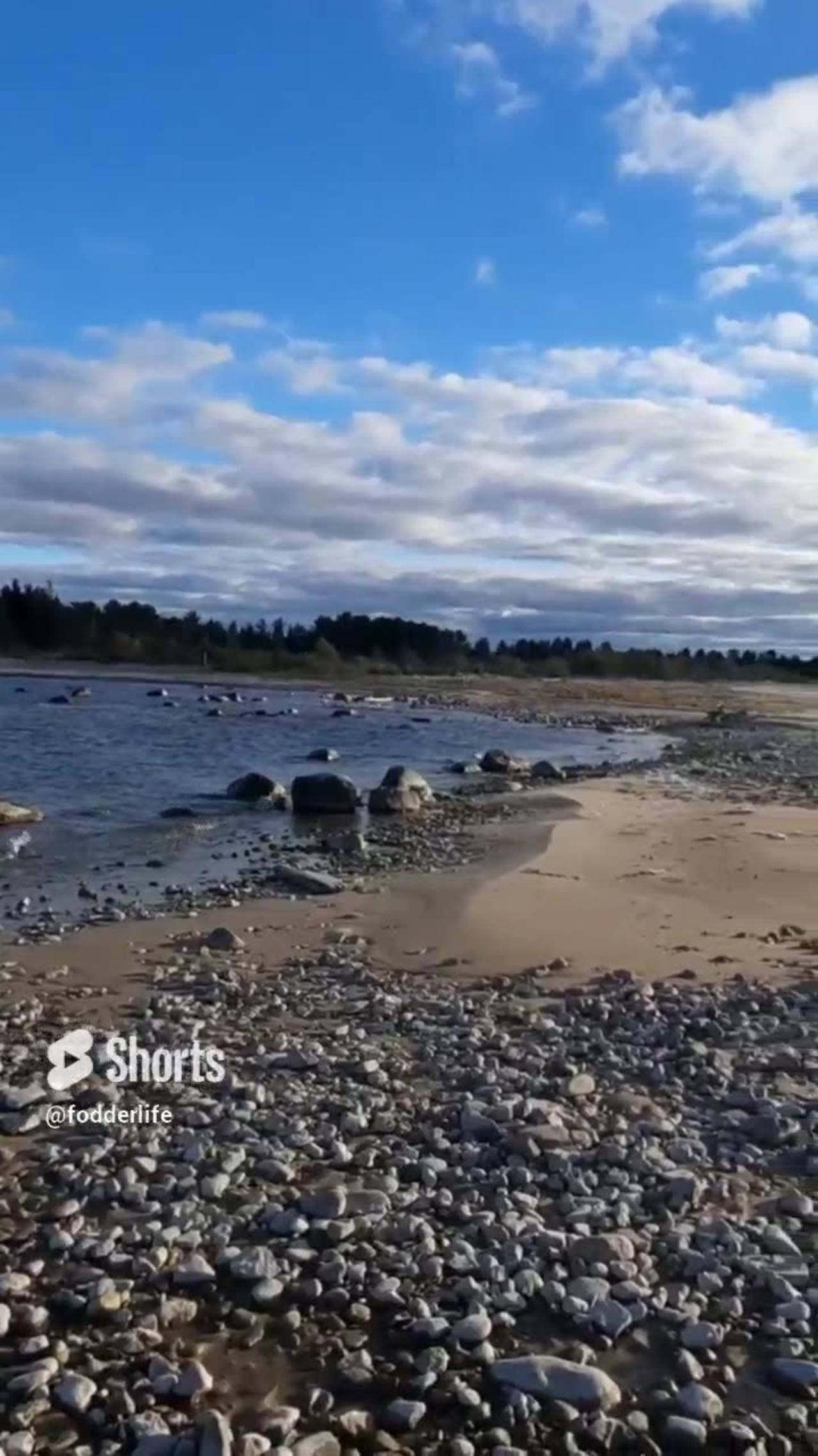 Cheboygan State Park Duncan Bay Beach Walk - One News Page VIDEO