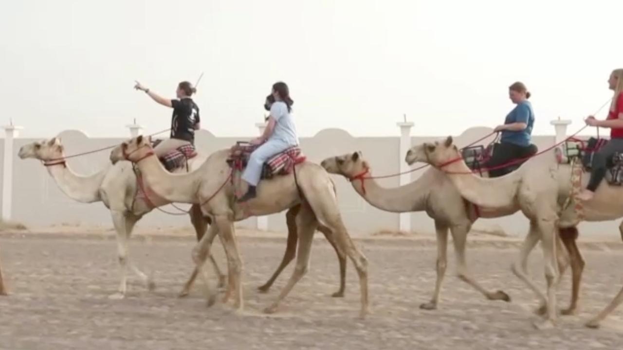 Learn How to Ride a Camel Just By Going to This - One News Page VIDEO