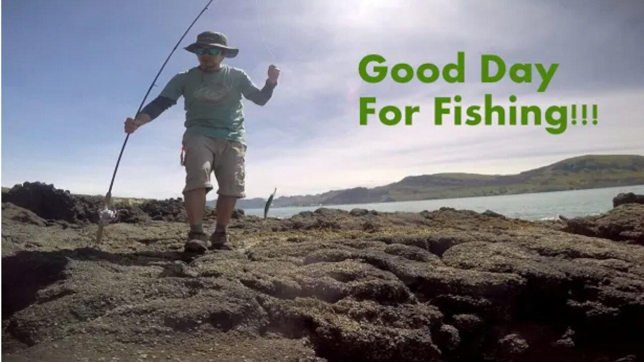 Chilling Out in the Sun | Fishing Day! - One News Page VIDEO