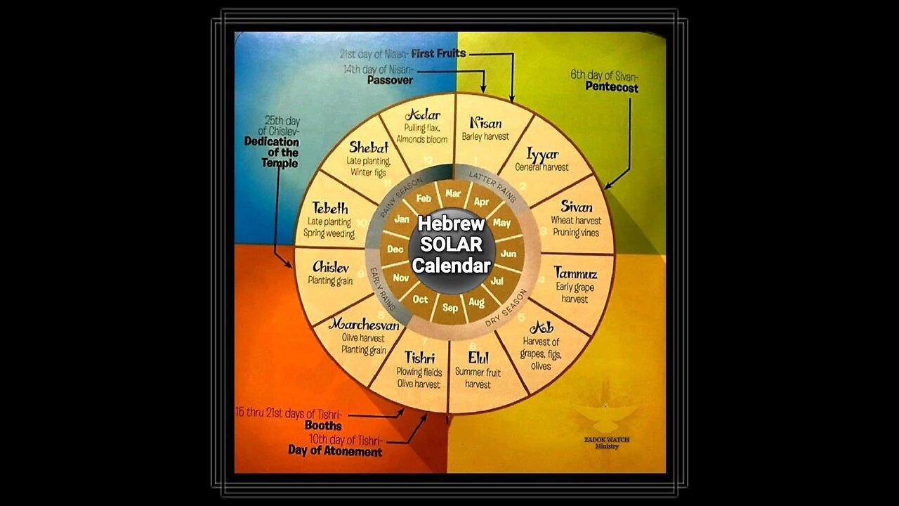 Timeline of AC - One News Page VIDEO