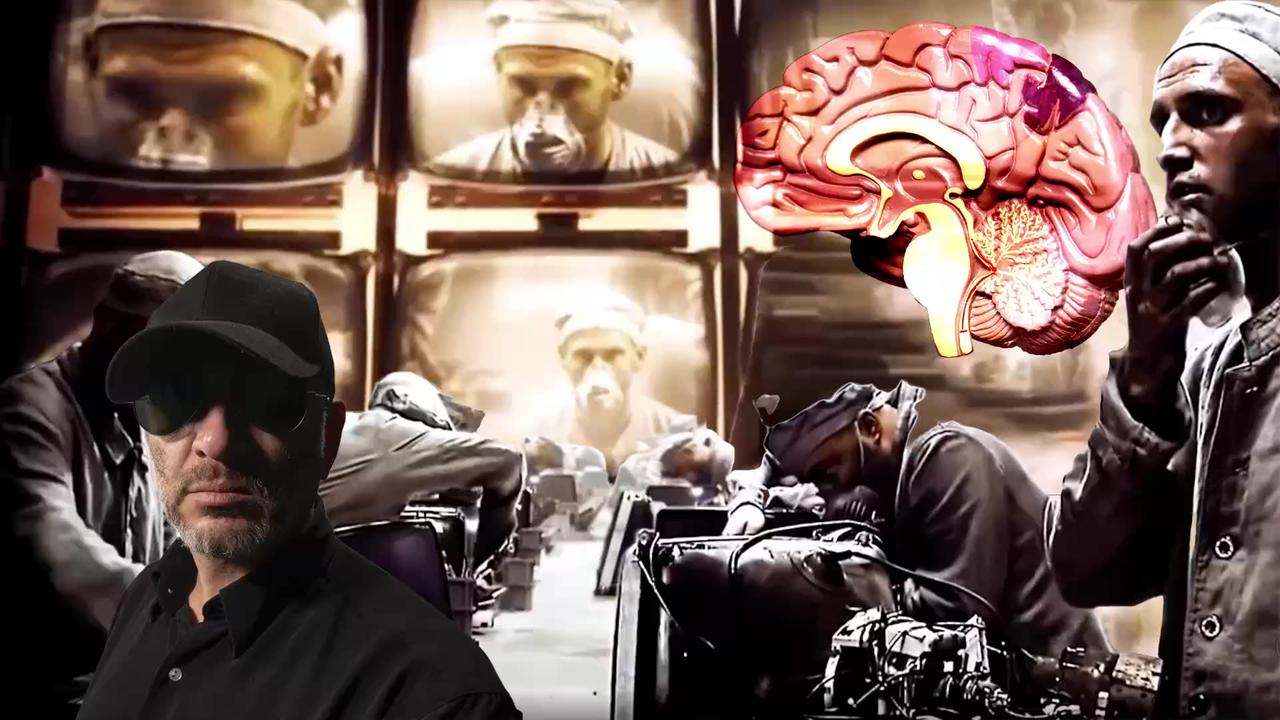 Milgram, Asch and the History of Conformity - One News Page VIDEO