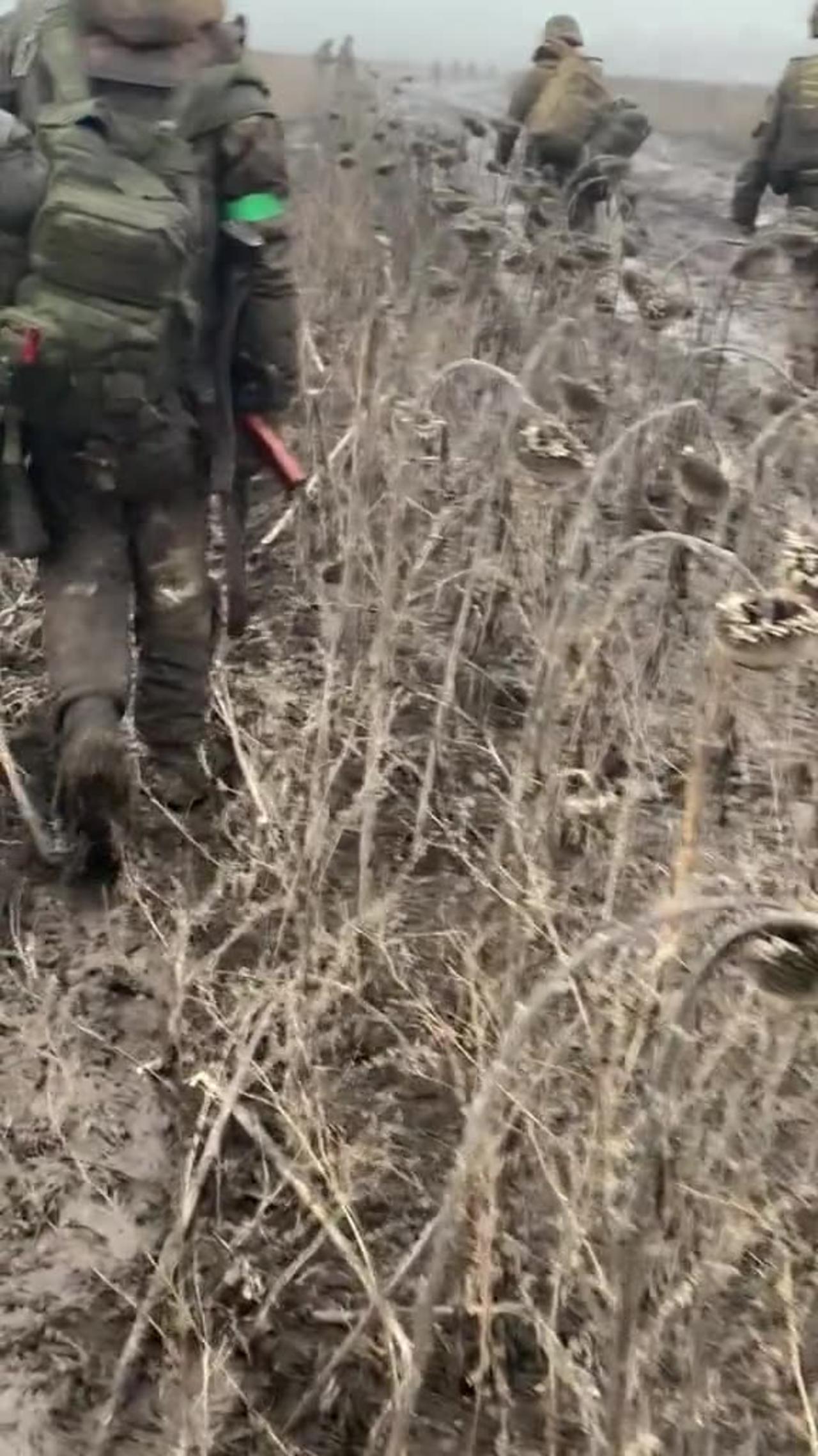 Ukranians retreat from Bakhmut - One News Page VIDEO