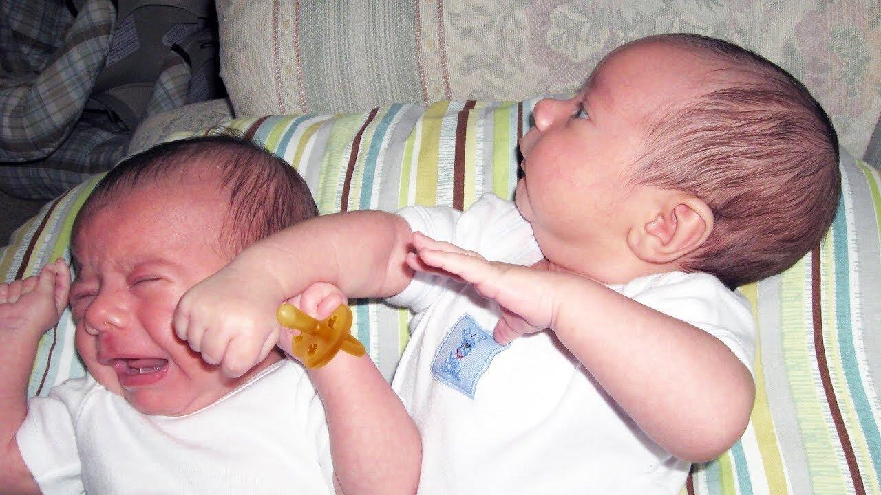 twin babies fighting on pacifier - One News Page VIDEO