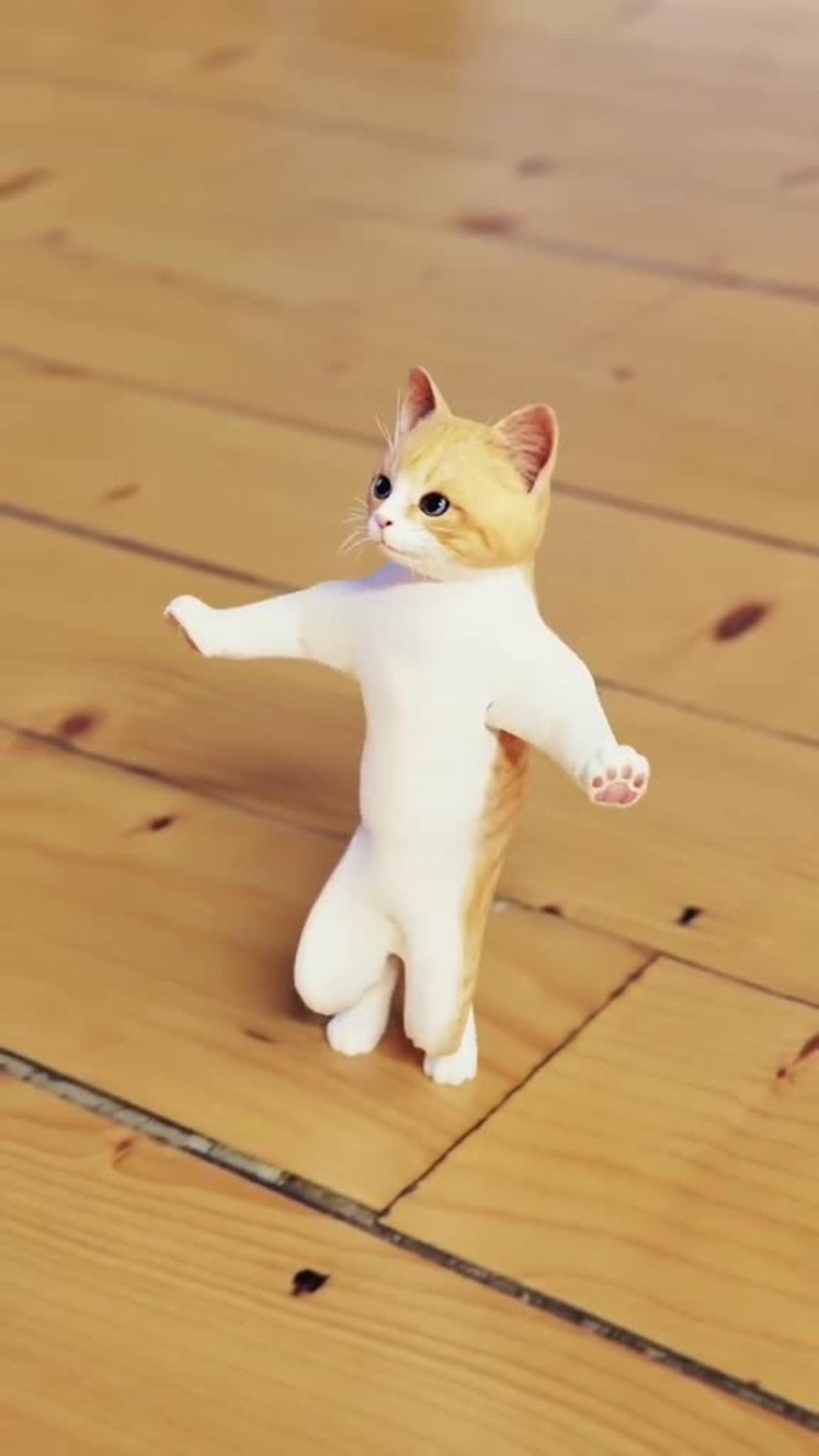 Cute cats dance😂😂#cats#cutecats - One News Page VIDEO