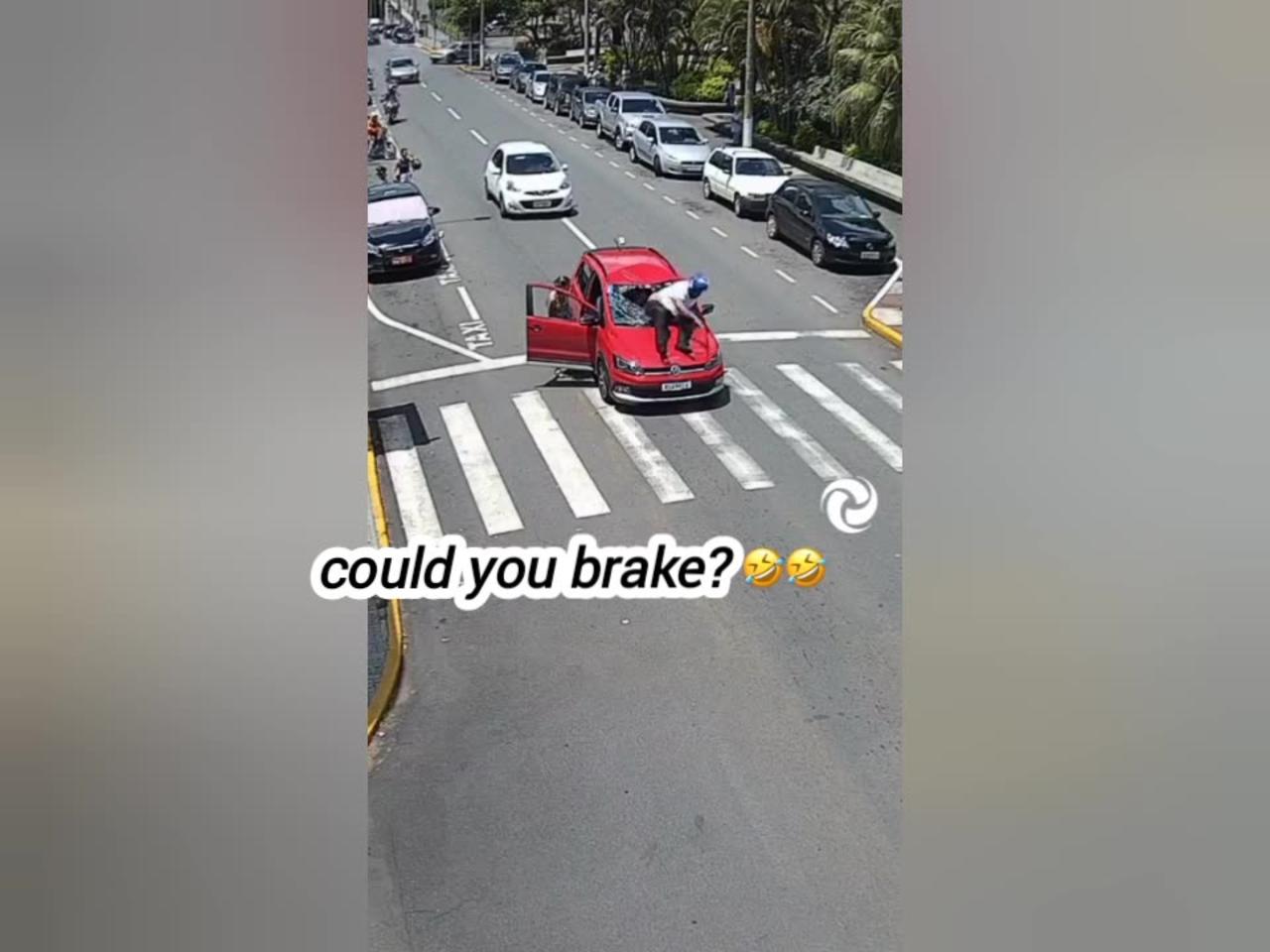 3-legged dog crosses the avenue through the lane - One News Page VIDEO