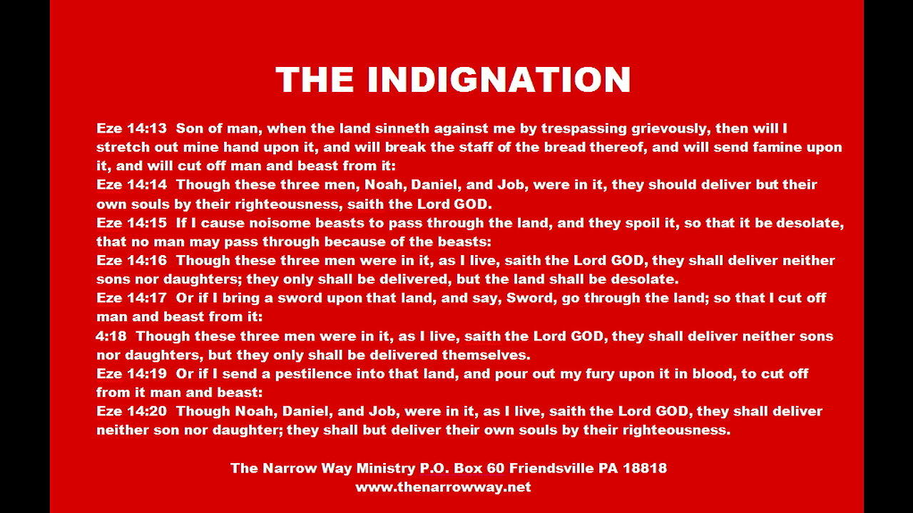 THE INDIGNATION - One News Page VIDEO