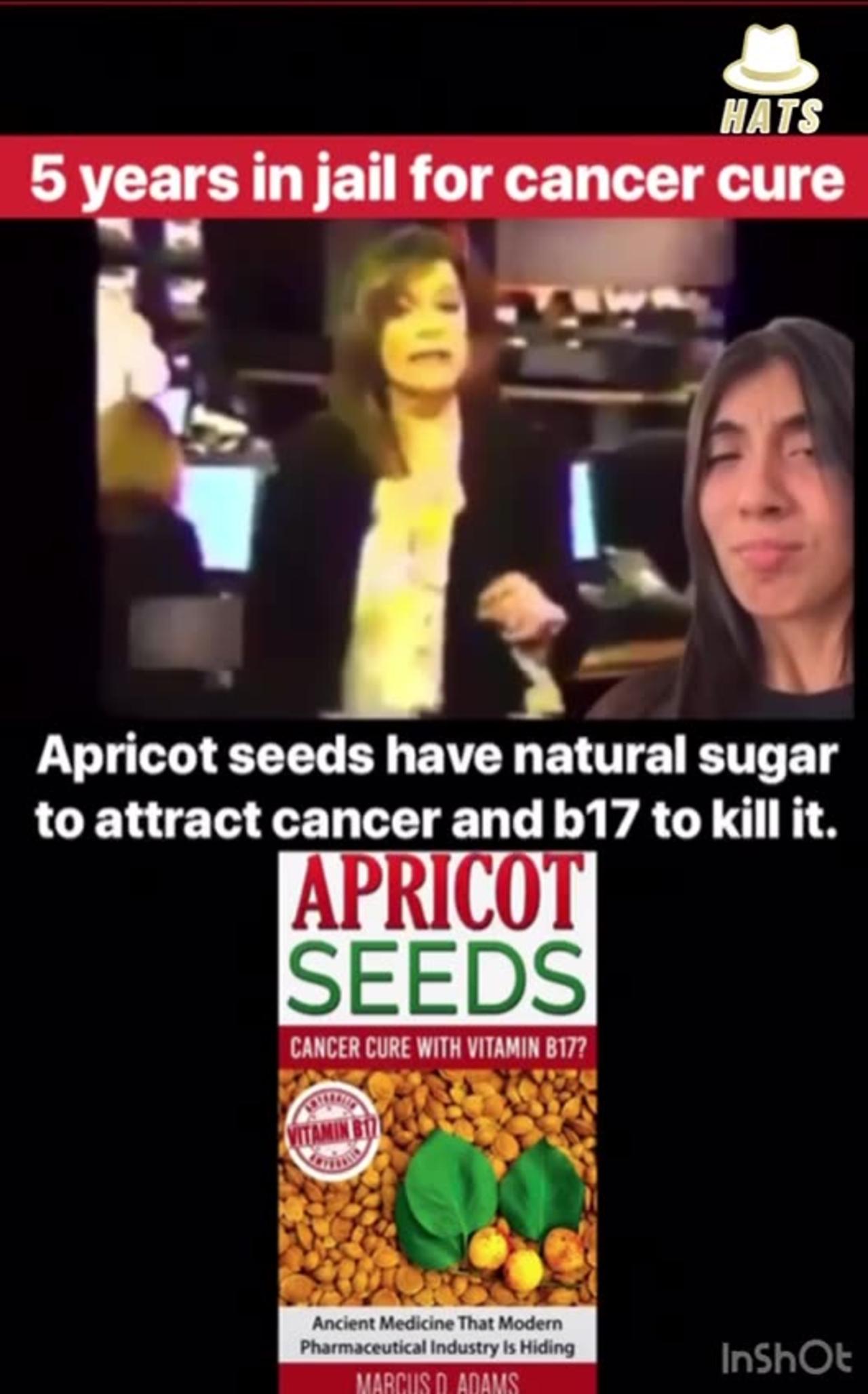 Put in jail for five years for selling apricot - One News Page VIDEO