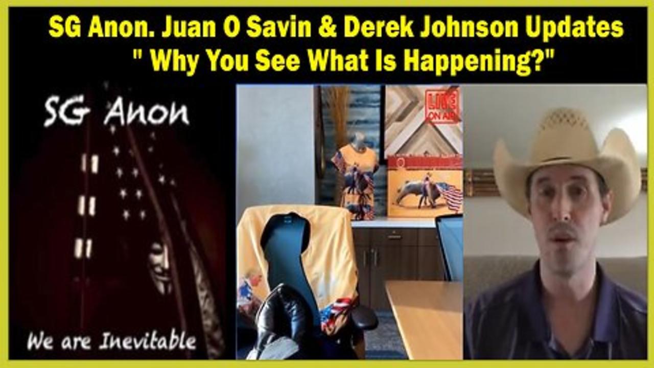 SG Anon. Juan O Savin & Derek Johnson - One News Page VIDEO