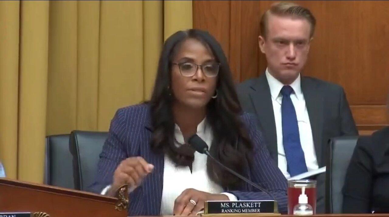 Dem Rep. Plaskett Accuses Witnesses Of - One News Page VIDEO