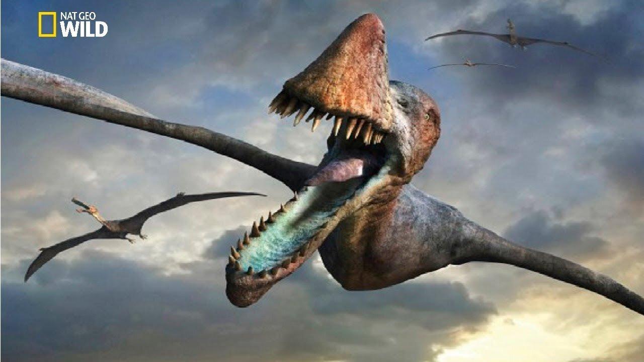 Flying Sky Monsters Pterosaur. Documentary HD. - One News Page VIDEO