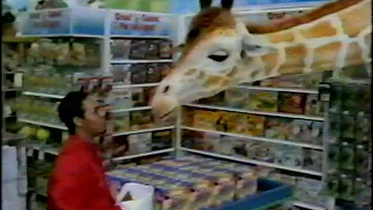 November 2002 - Toy Sale Makes Geoffrey the - One News Page VIDEO