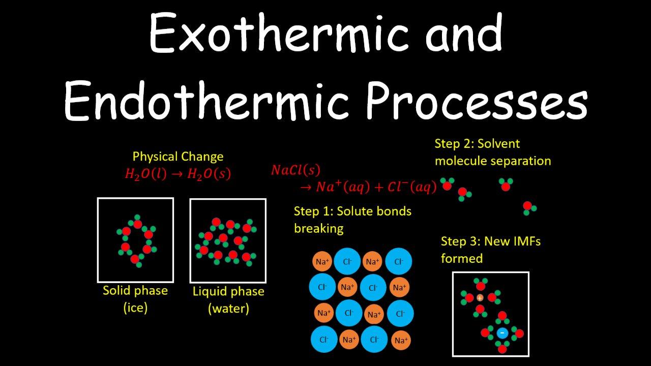 Endothermic and Exothermic Processes - - One News Page VIDEO