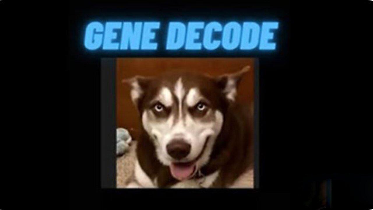 Gene Decode Latest Update March 11, 2023 - One News Page VIDEO