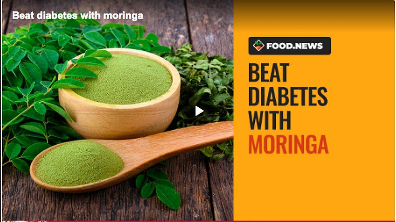 Find out how moringa can help people with - One News Page VIDEO
