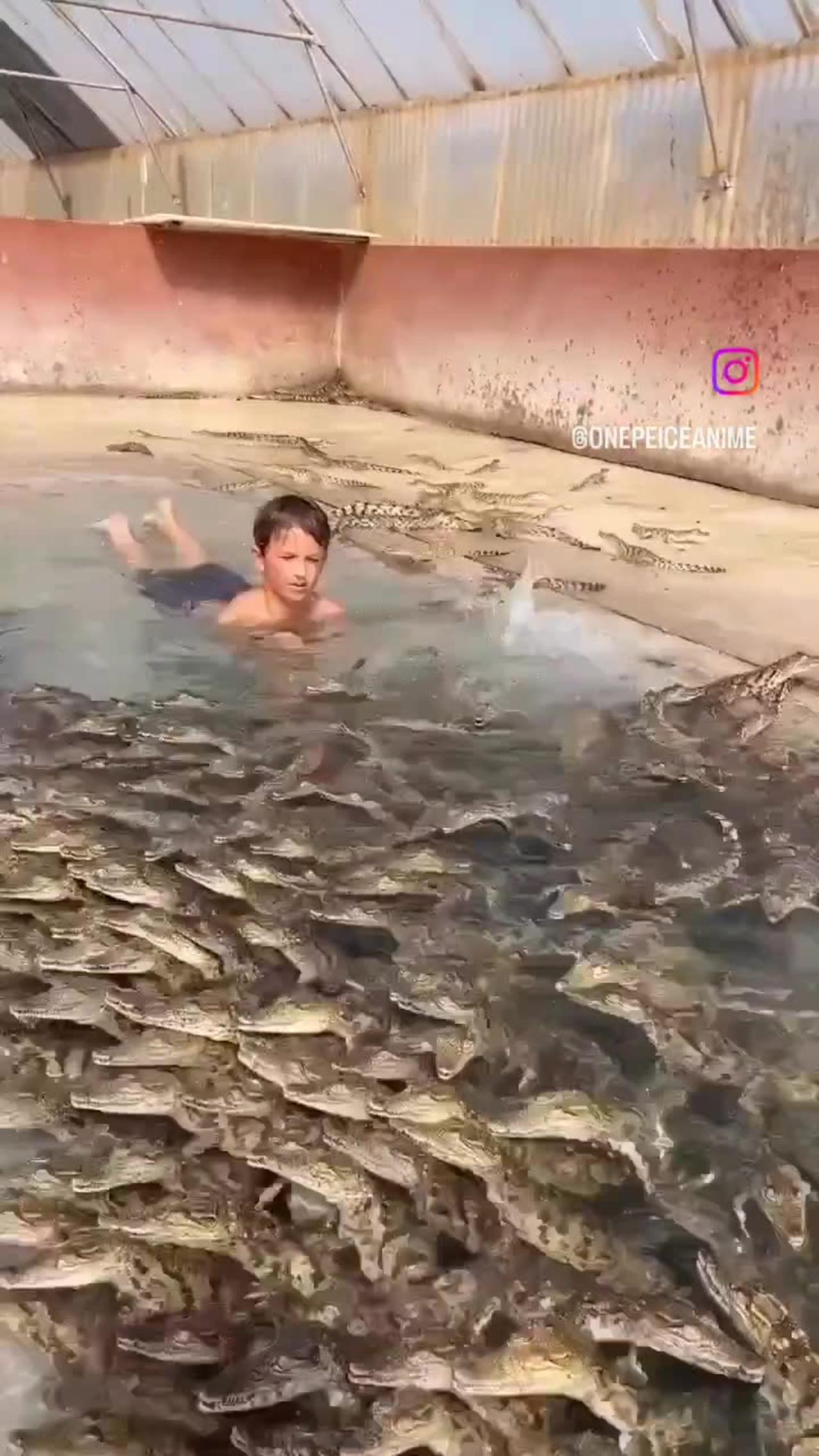 See this so dangerous - One News Page VIDEO