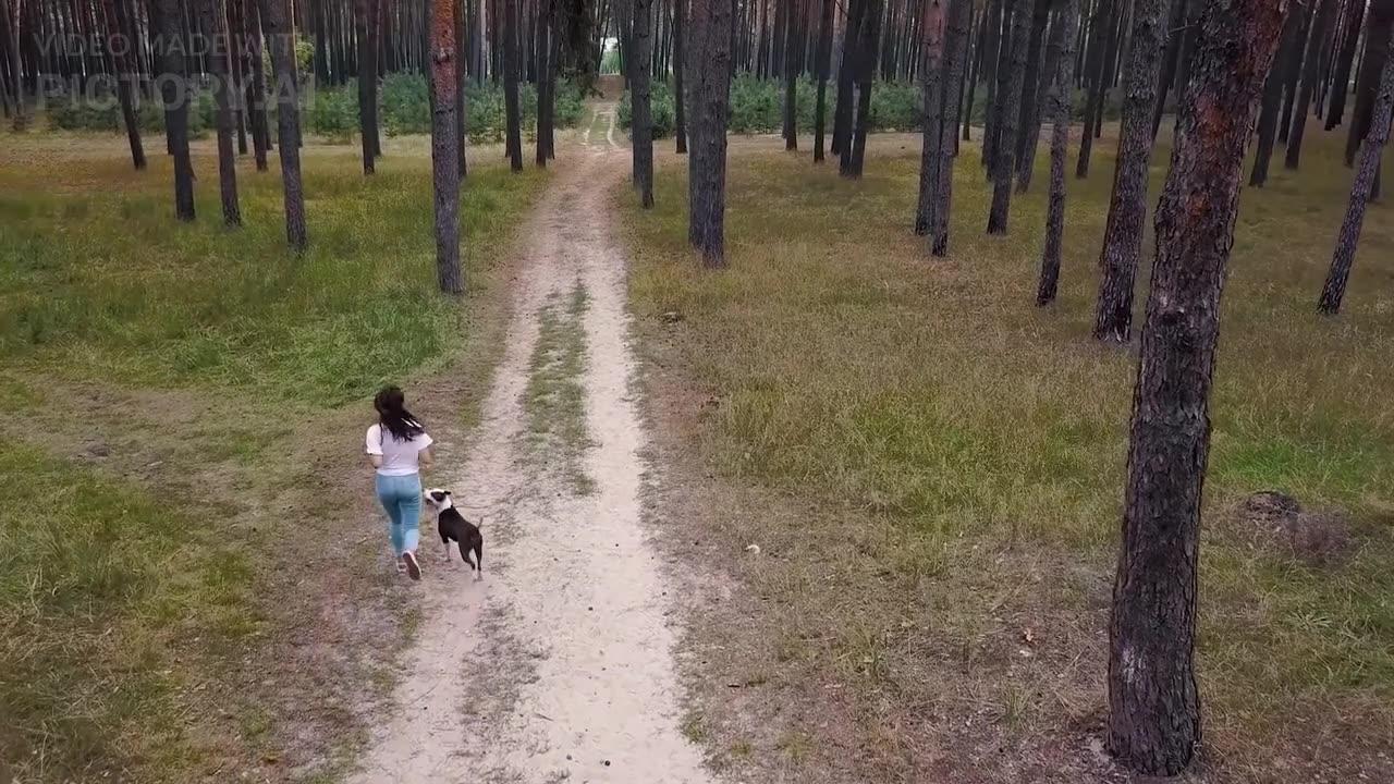 Man's Best Friend - The Ultimate Dog Video - One News Page VIDEO