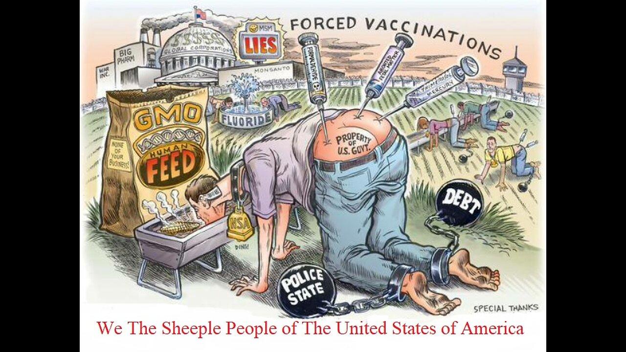 We The Sheeple People of The United States of - One News Page VIDEO