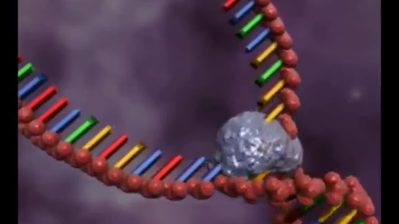 JIM TERRY, FAKE PI VIP LIVE STREAM Fair Use - One News Page VIDEO