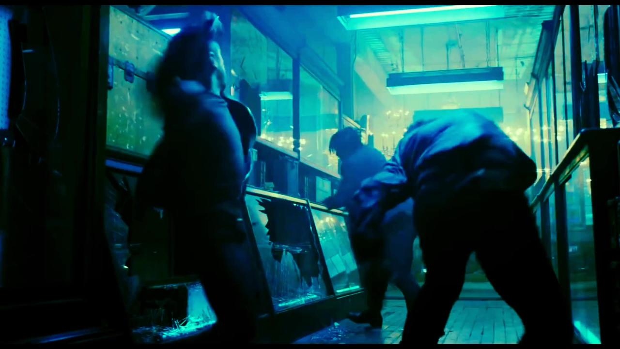 John wick Best Fight scene - One News Page VIDEO