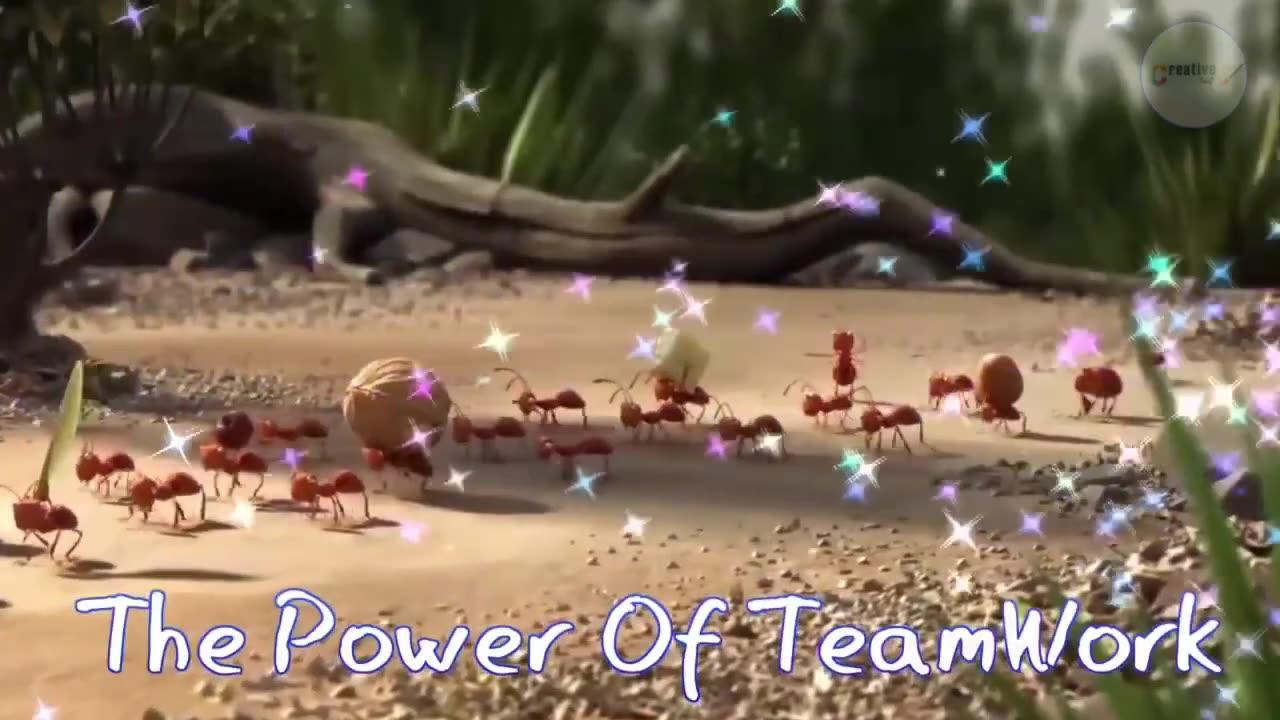 Teamwork and Leadership | Animated short clip - One News Page VIDEO