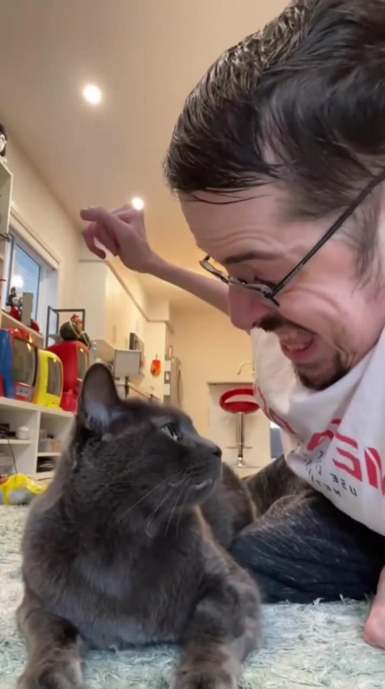 Cat fun - One News Page VIDEO