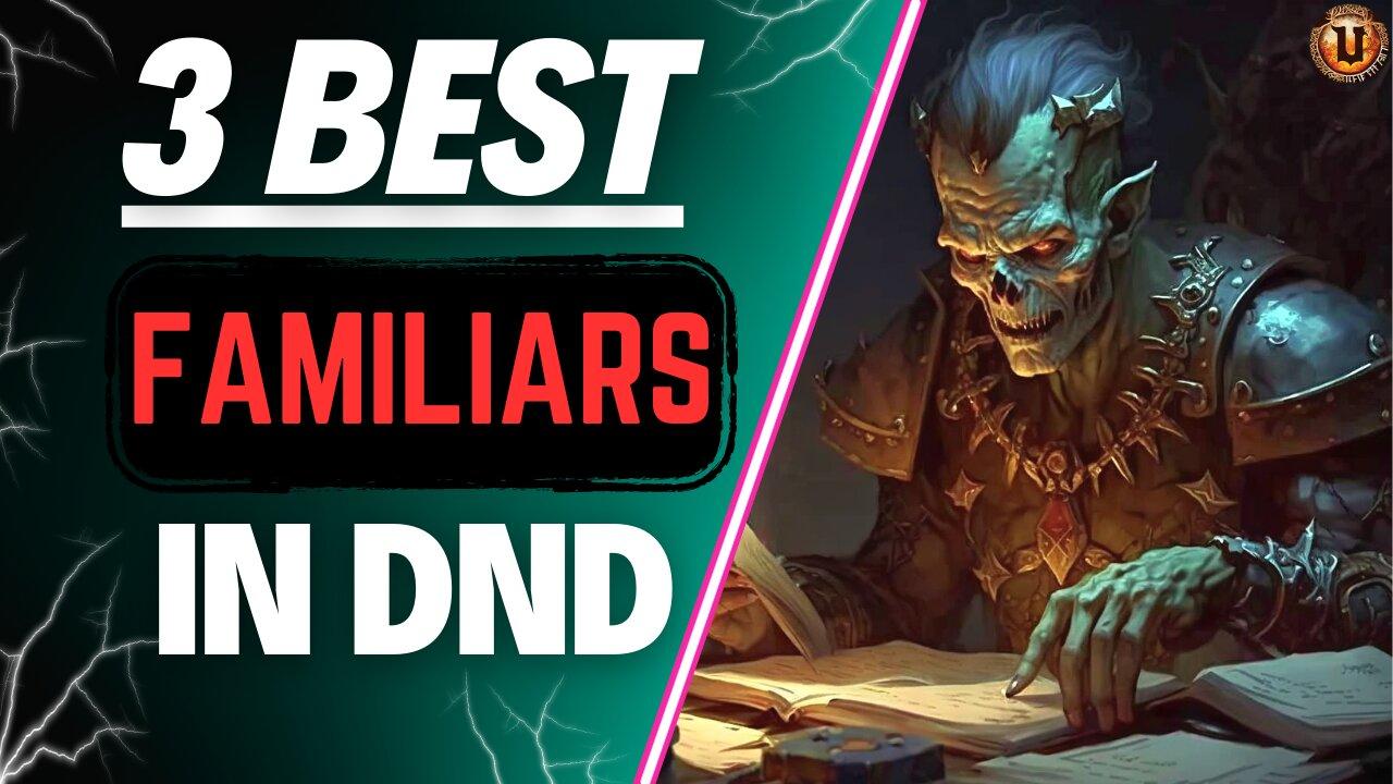 3 Best Familiars in DnD 5E - One News Page VIDEO