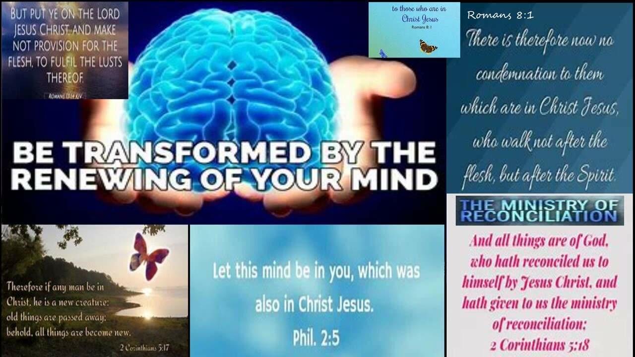 STICKING OUT, LIKE A SORE THUMB #584 - One News Page VIDEO