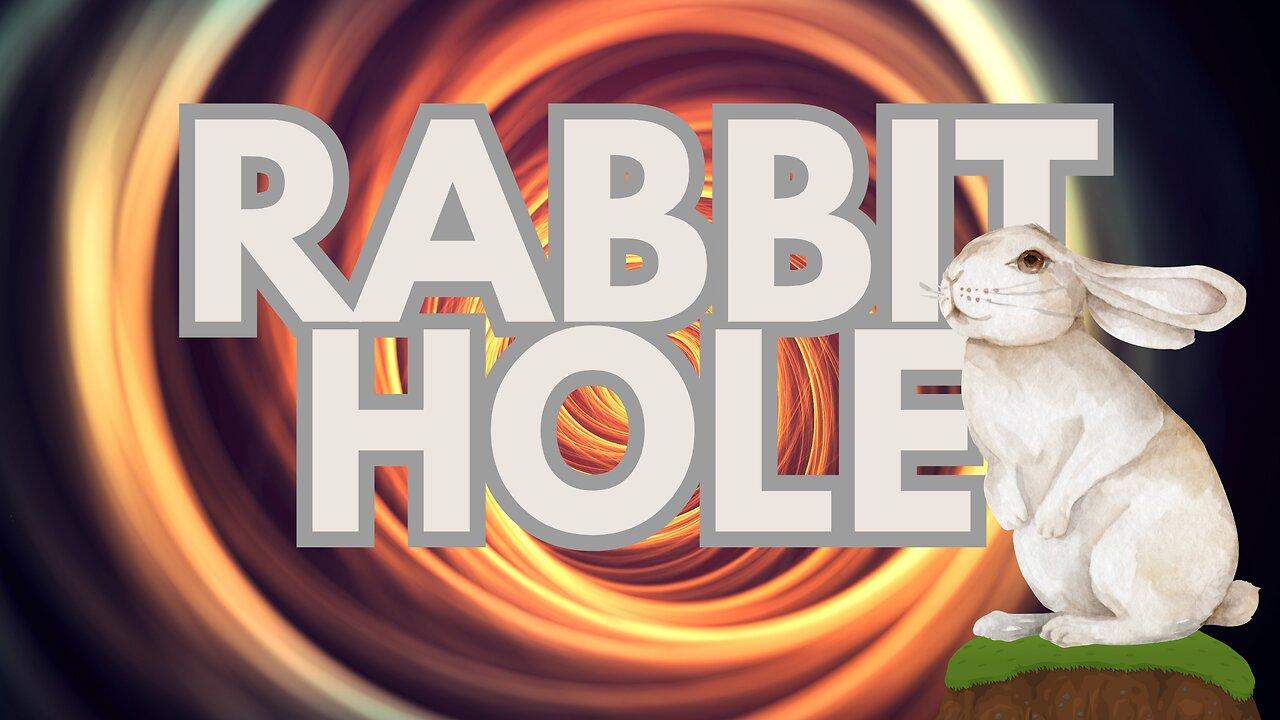 Rabbit Hole | Shepard Ambellas Show | 308 - One News Page VIDEO